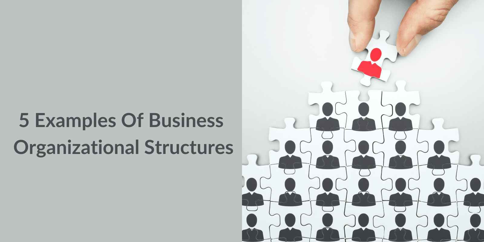  Functional Organizational Structure Advantages And Disadvantages Benefits Disadvantages Of 