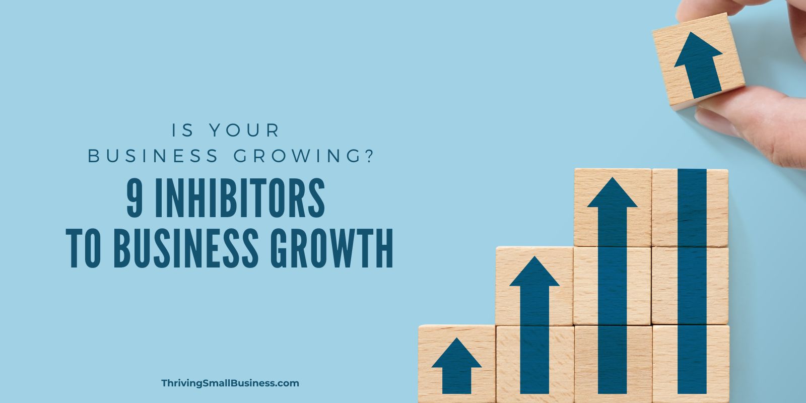 9 Inhibitors to Business Growth - The Thriving Small Business
