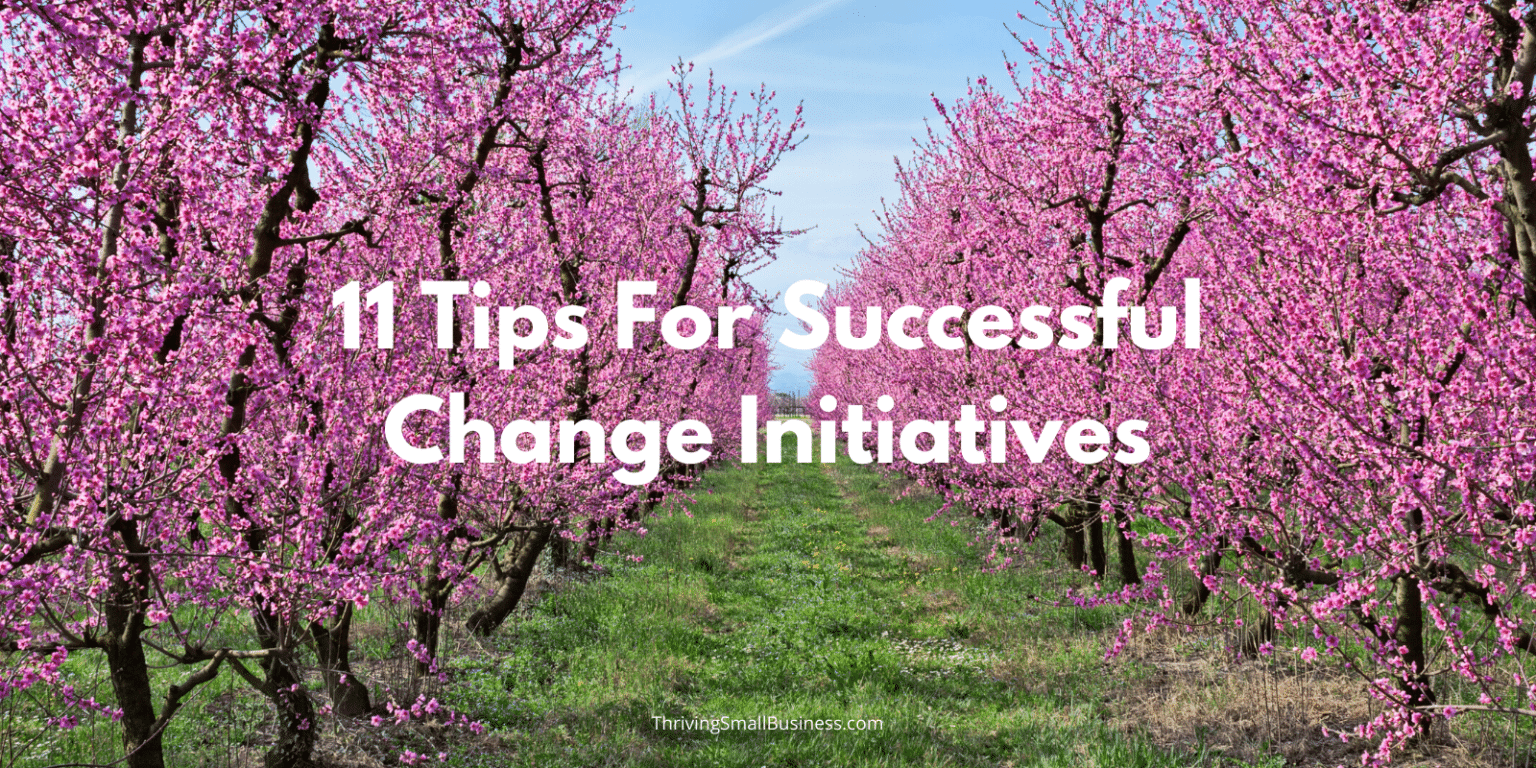 11 Tips For Successful Change Initiatives - The Thriving Small Business